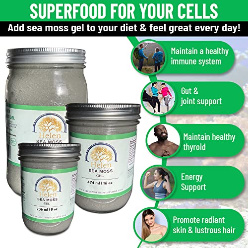 vegan sea moss for wellness