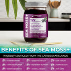 Vegan sea moss gel alternative