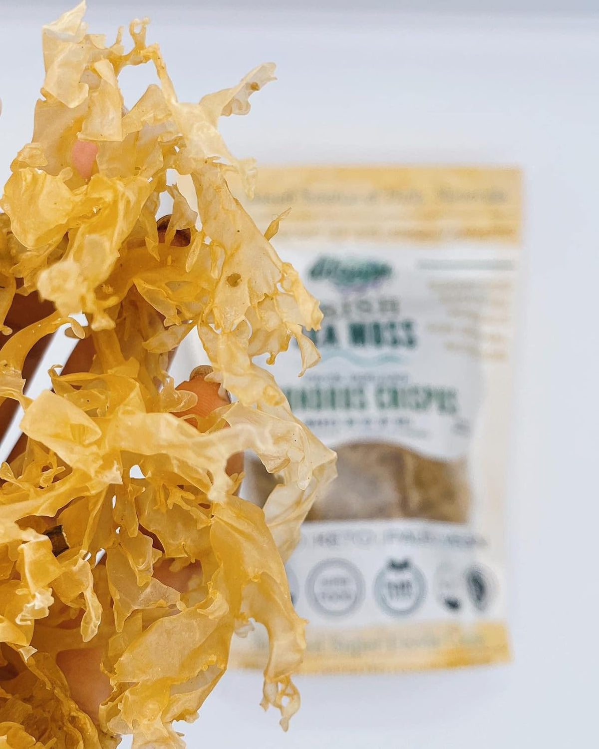 vegan sea moss gel alternative
