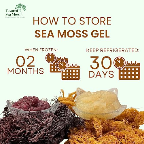 vegan sea moss gel for wellness