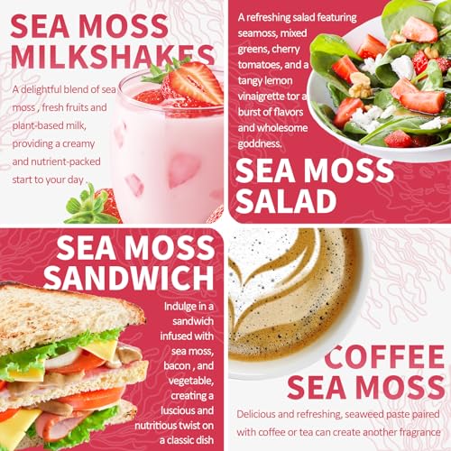vegan sea moss gel supplement
