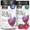 vegan sea moss gummies for health