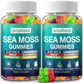 vegan sea moss multivitamins