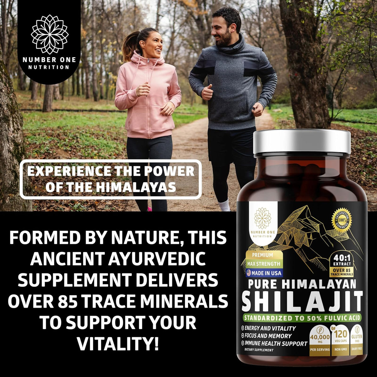 vegan shilajit capsules for wellness