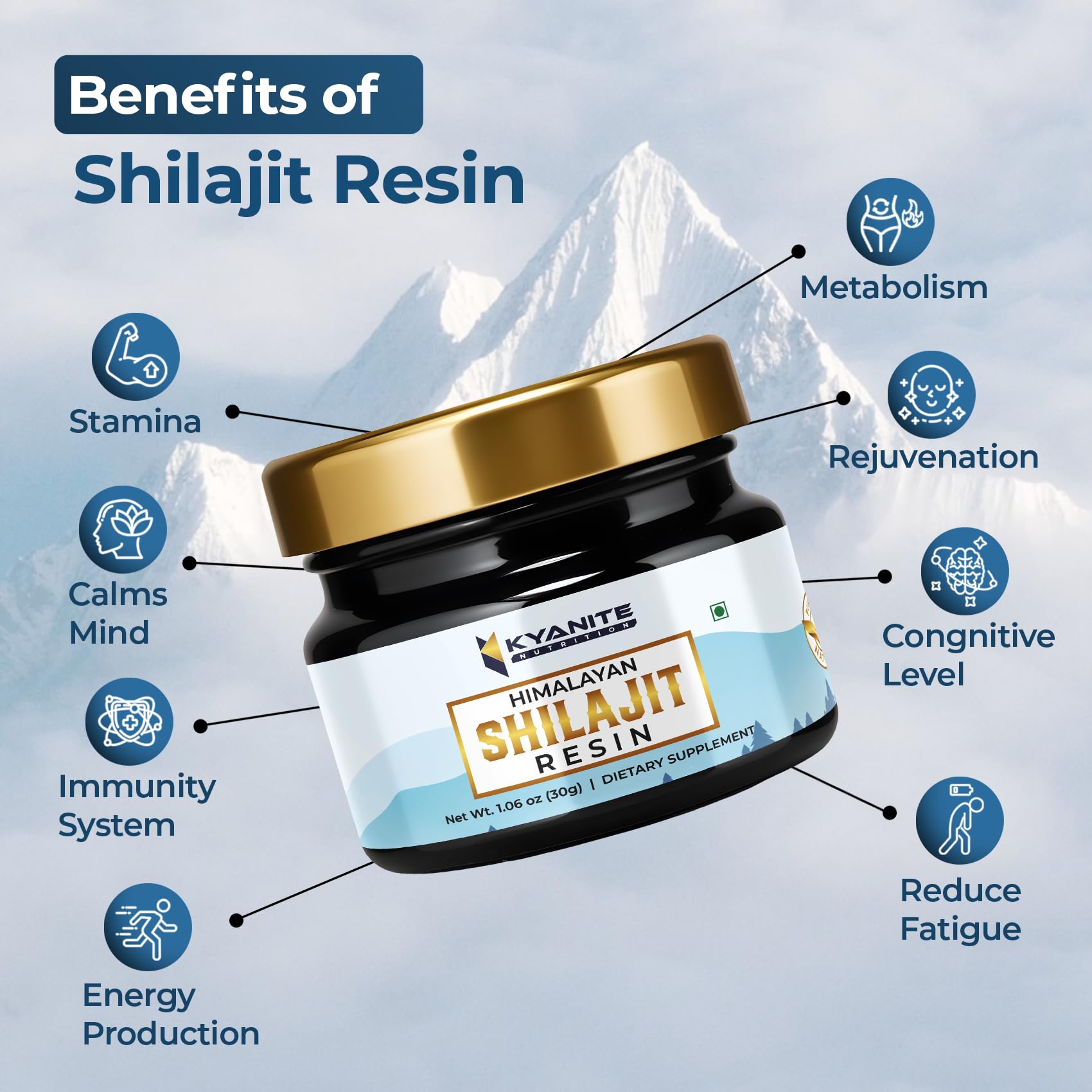 vegan shilajit for mental focus