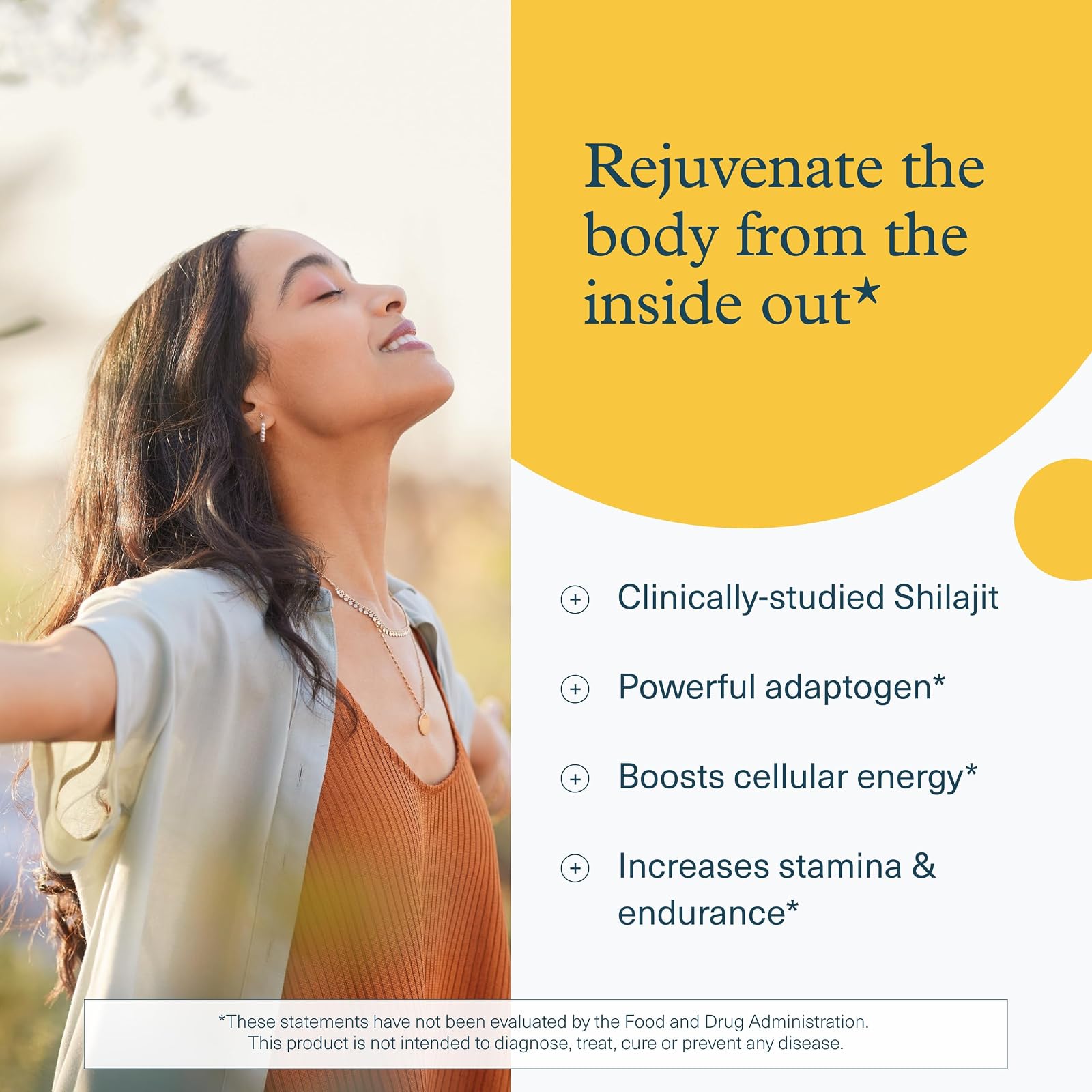 vegan shilajit for vitality