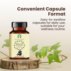 vegan Shilajit for wellness