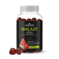 vegan shilajit gummies for energy