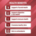 vegan source of iodine nutrition