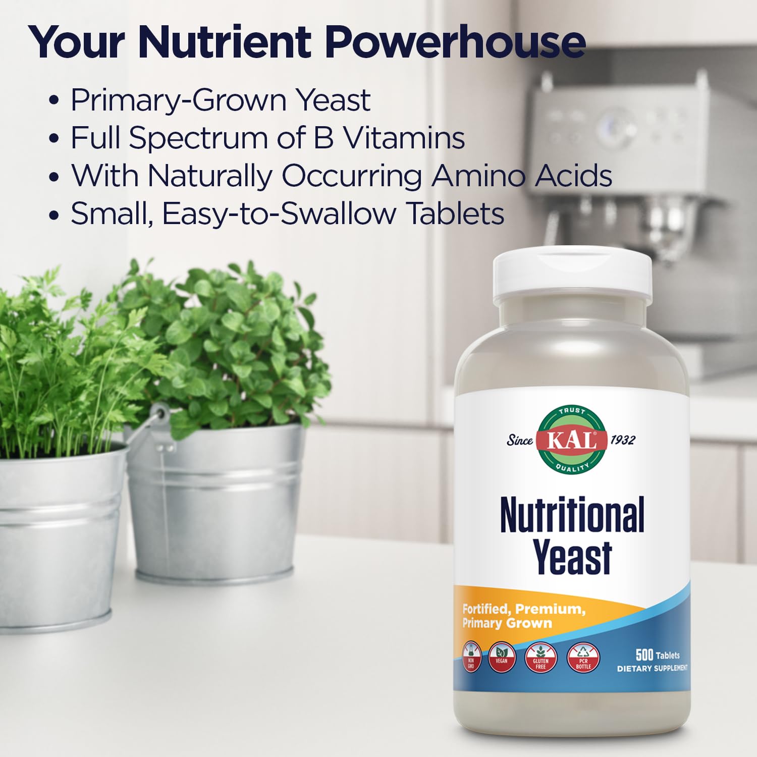vegan source of vitamin B complex