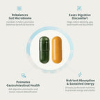 vegan spirulina chlorella for wellness