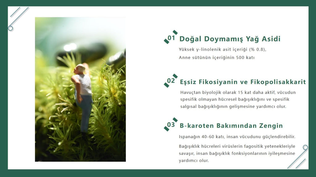 Vegan spirulina for plant-based diets