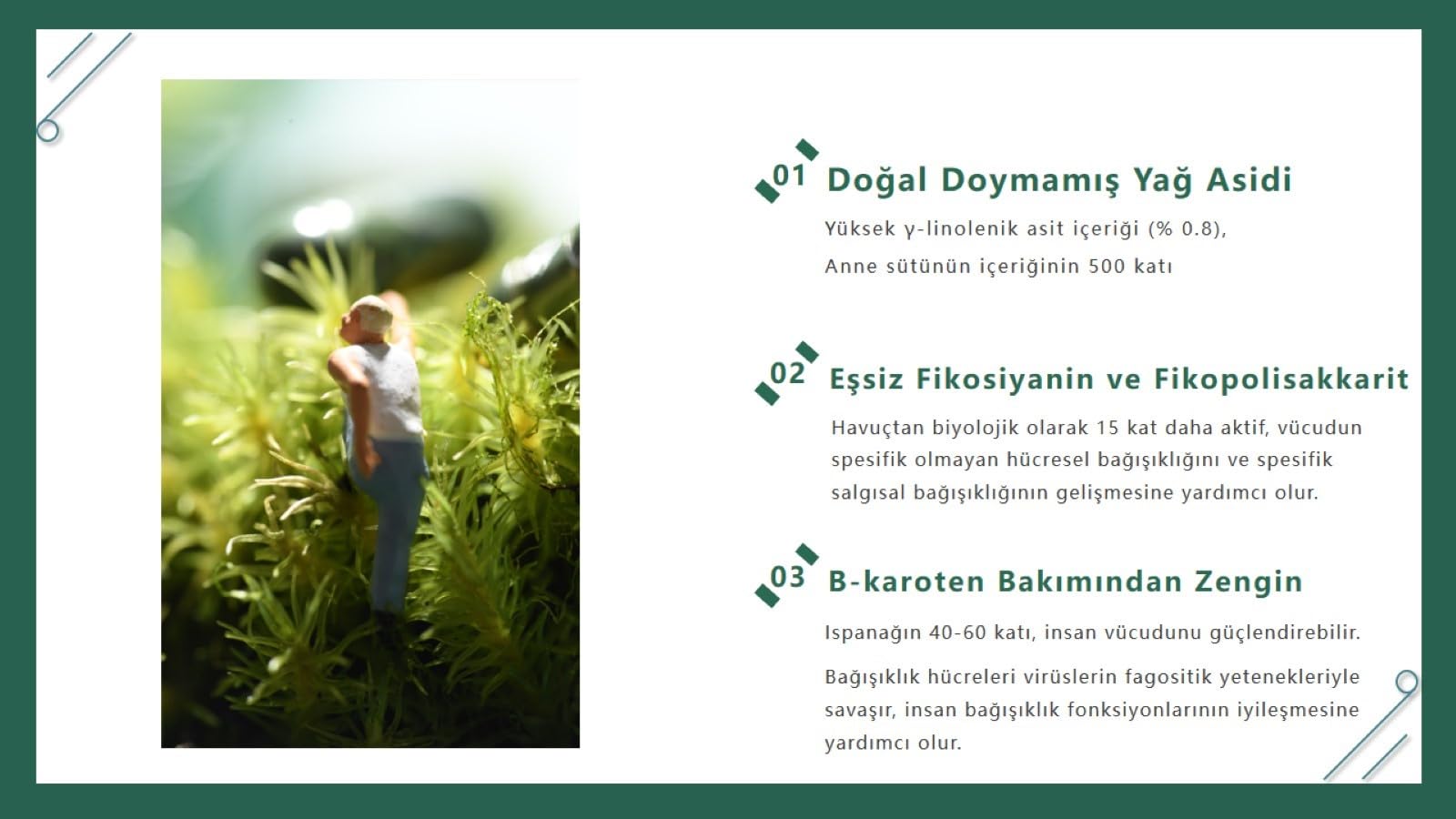 Vegan spirulina for plant-based diets