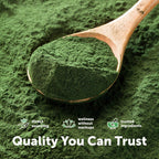 vegan spirulina powder for health