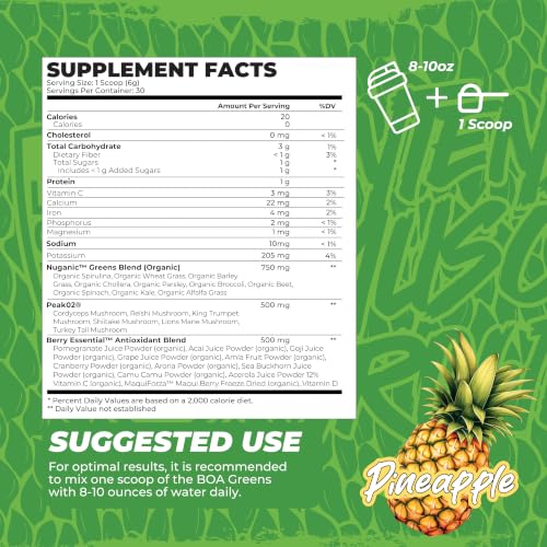 vegan spirulina protein source