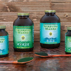 vegan spirulina superfood supplement