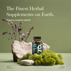 Vegan St. John's Wort for mood support
