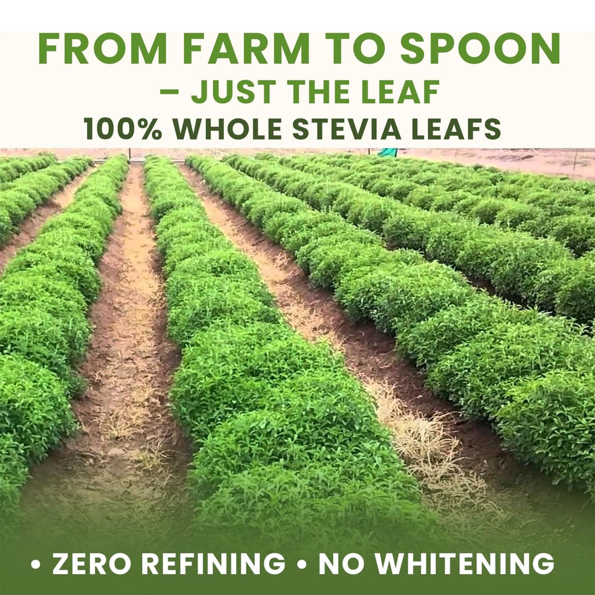 vegan stevia alternative for desserts