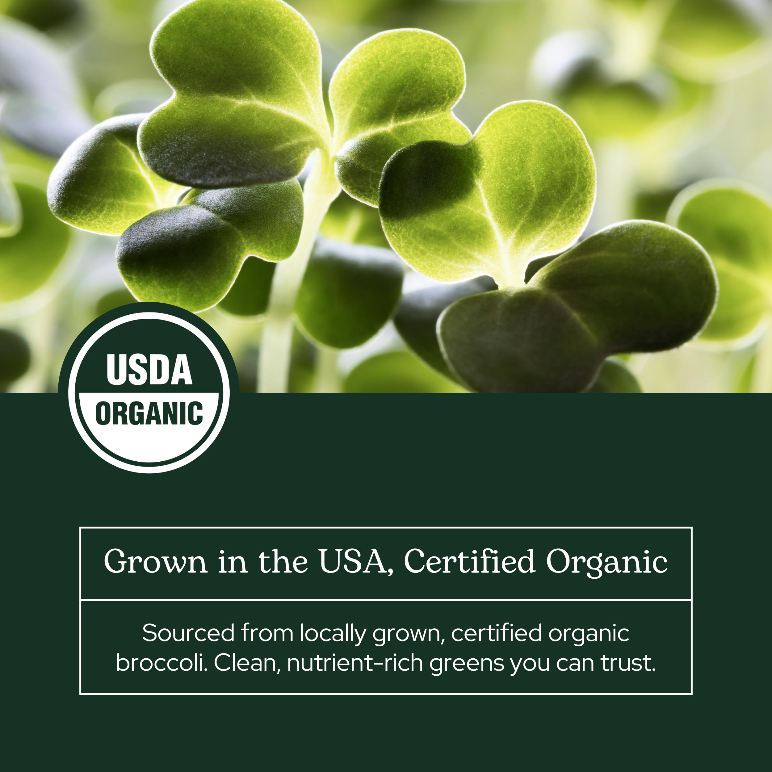vegan superfood blend for vitality