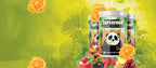 vegan superfood blend for wellness