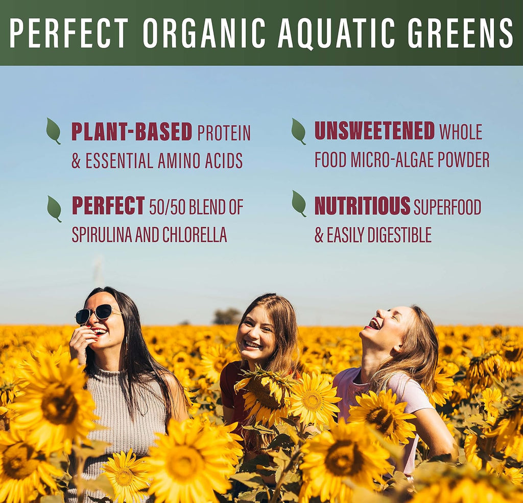 vegan superfood greens powder supplement