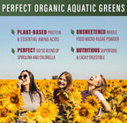 vegan superfood greens powder supplement