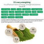 vegan superfood wheatgrass juice powder