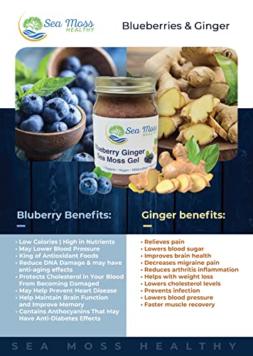 vegan supplement for gut health