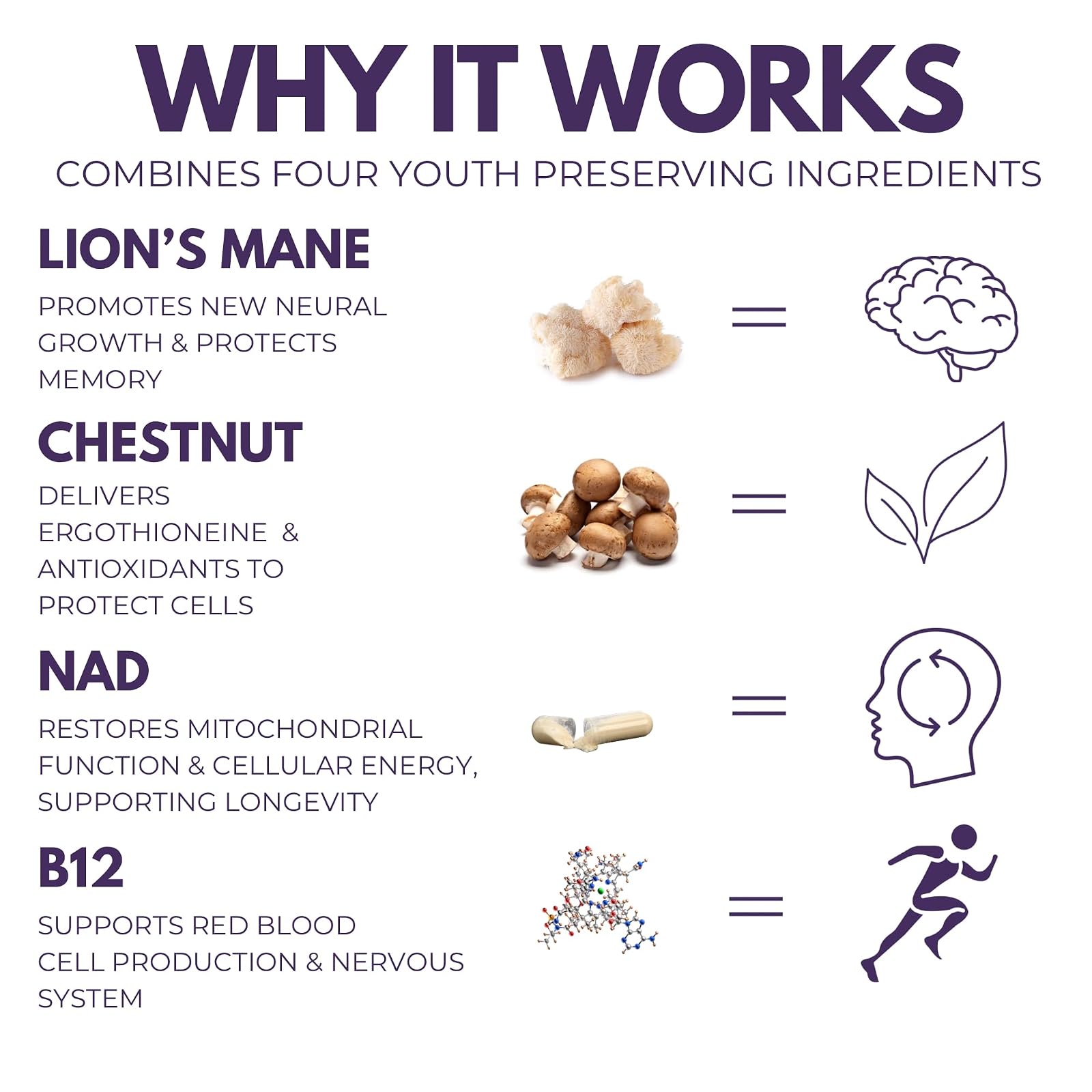 vegan supplement for healthy aging