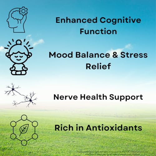 Vegan supplements for brain function