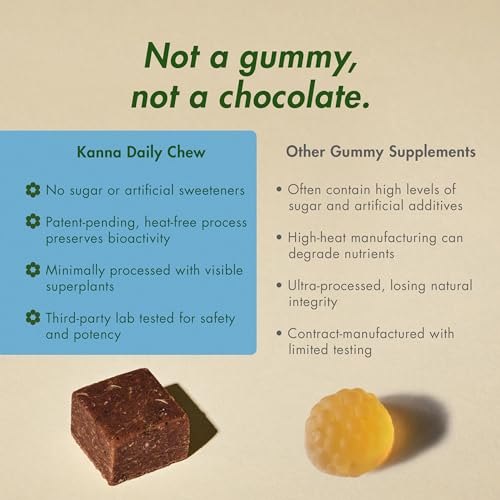 vegan supplements for cognitive support