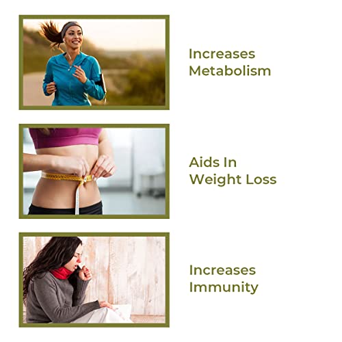 vegan triphala capsules for digestion