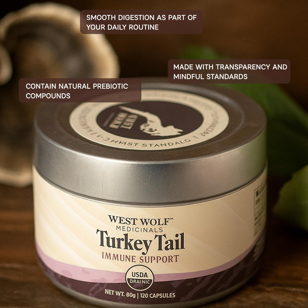 vegan turkey tail mushroom benefits