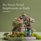 vegan turkey tail mushroom capsules
