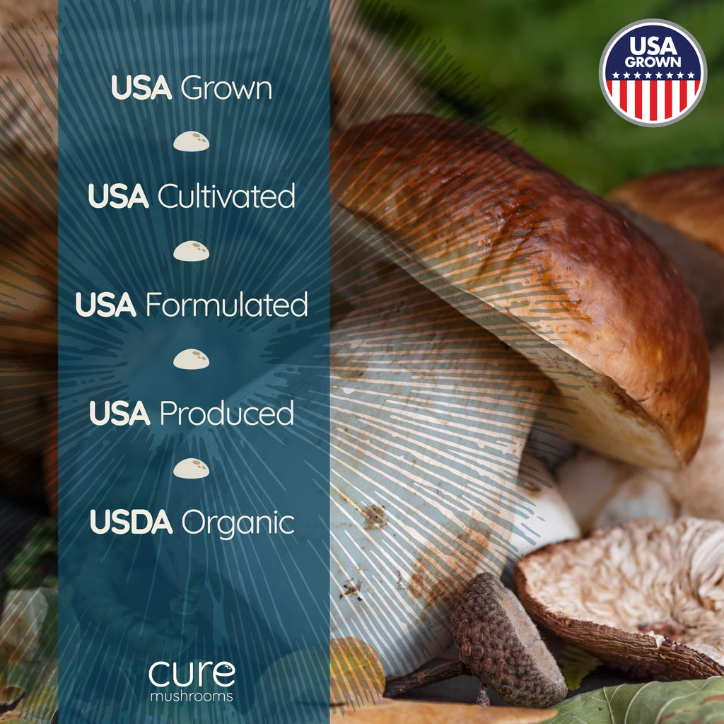 vegan turkey tail mushroom extract