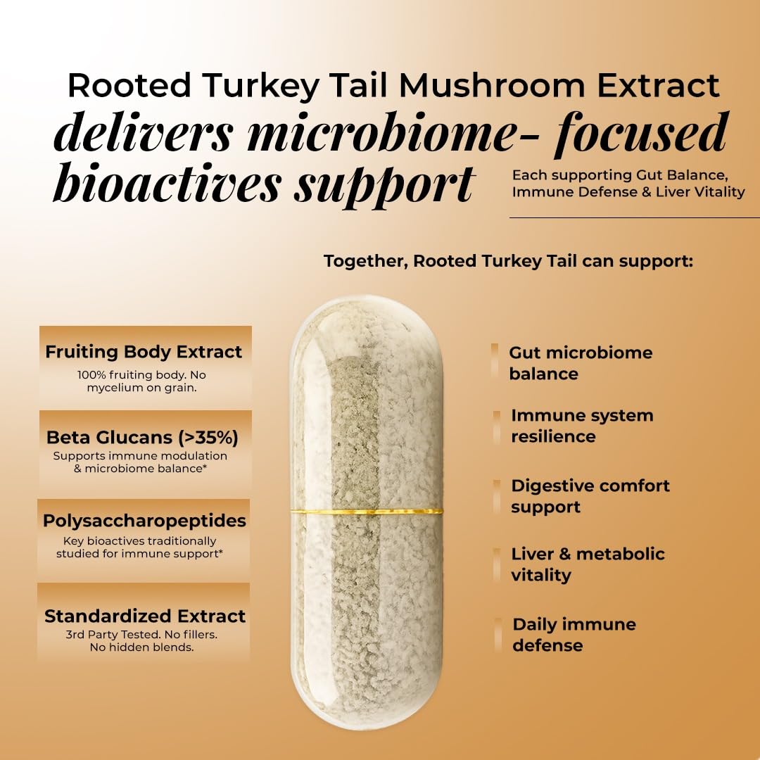 vegan turkey tail mushroom pills