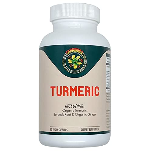 vegan turmeric capsules for digestion