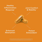 vegan turmeric curcumin capsules