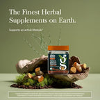 vegan turmeric curcumin daily supplement