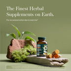 vegan turmeric curcumin for joint support