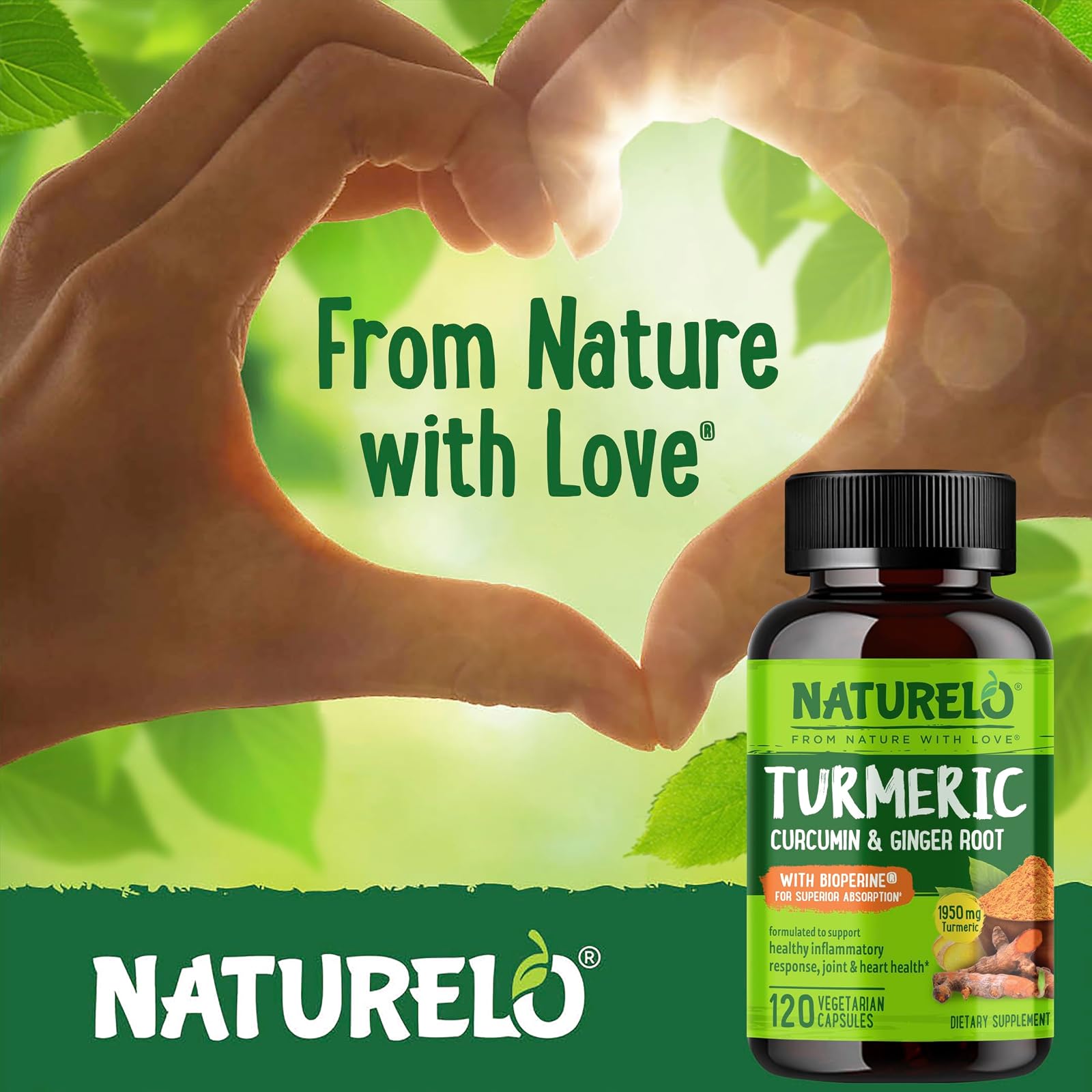 vegan turmeric curcumin for wellness