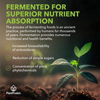 vegan turmeric curcumin powder for energy