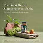 vegan turmeric curcumin supplement
