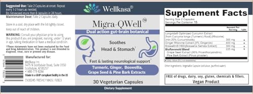 vegan turmeric ginger complex capsules