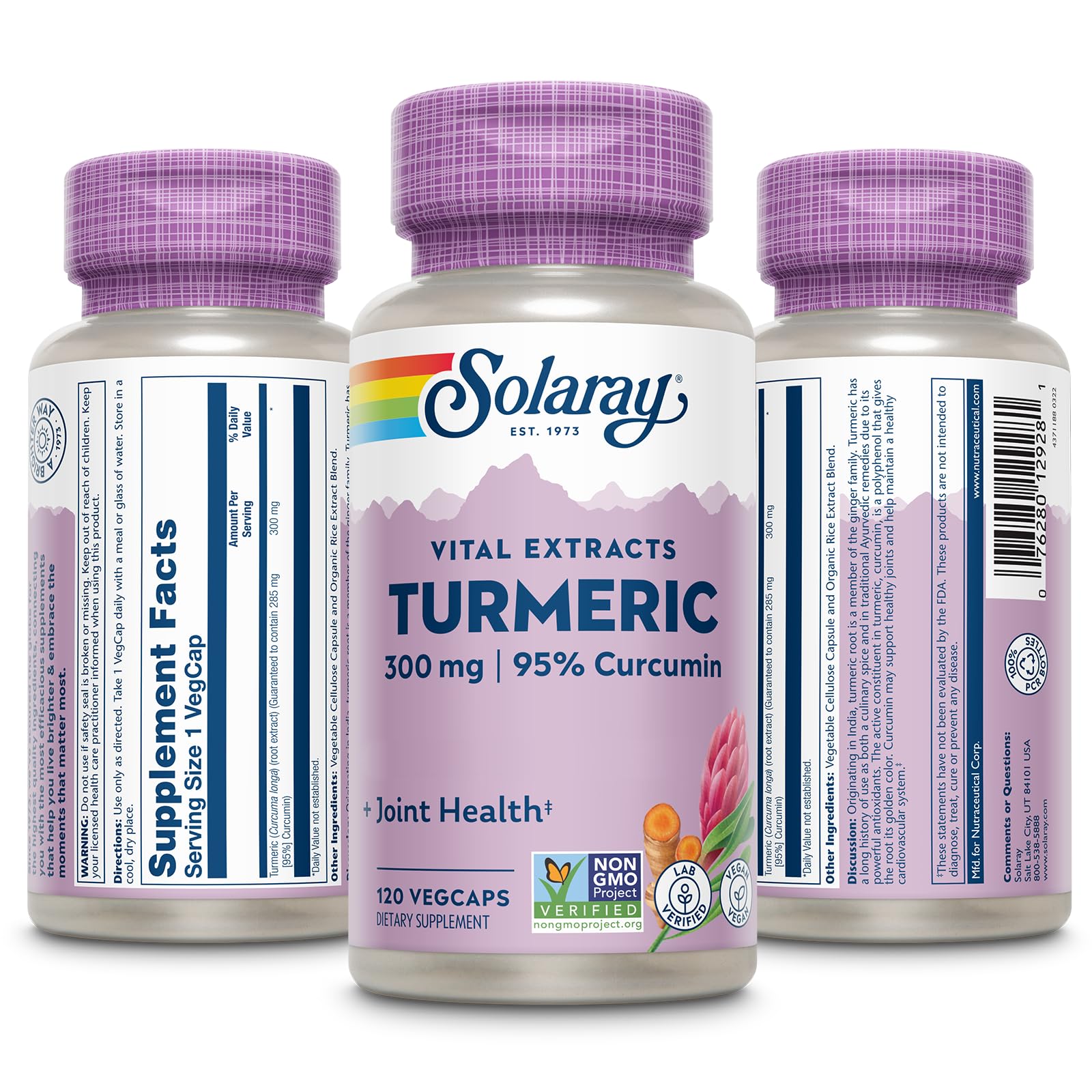 vegan turmeric supplement for inflammation