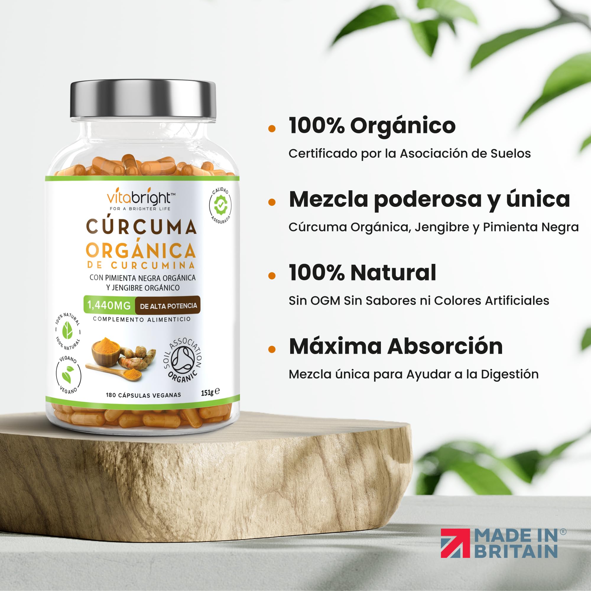 vegan turmeric supplement for wellness