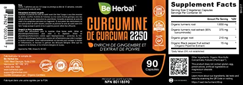vegan turmeric supplement with ginger