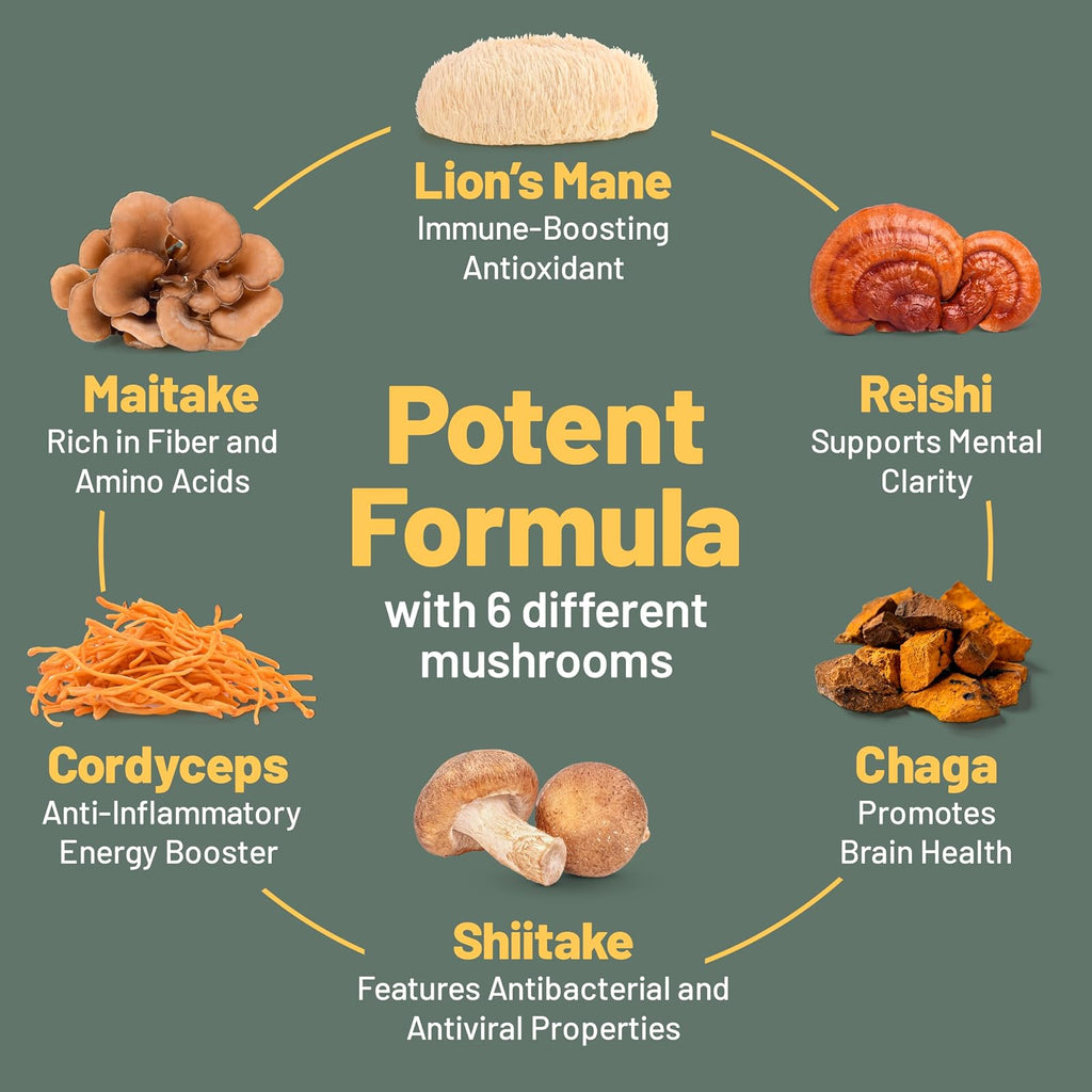 vegan vitality multi mushroom benefits