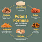 vegan vitality multi mushroom benefits