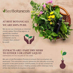 Vegan vitamin A source Devil's Claw